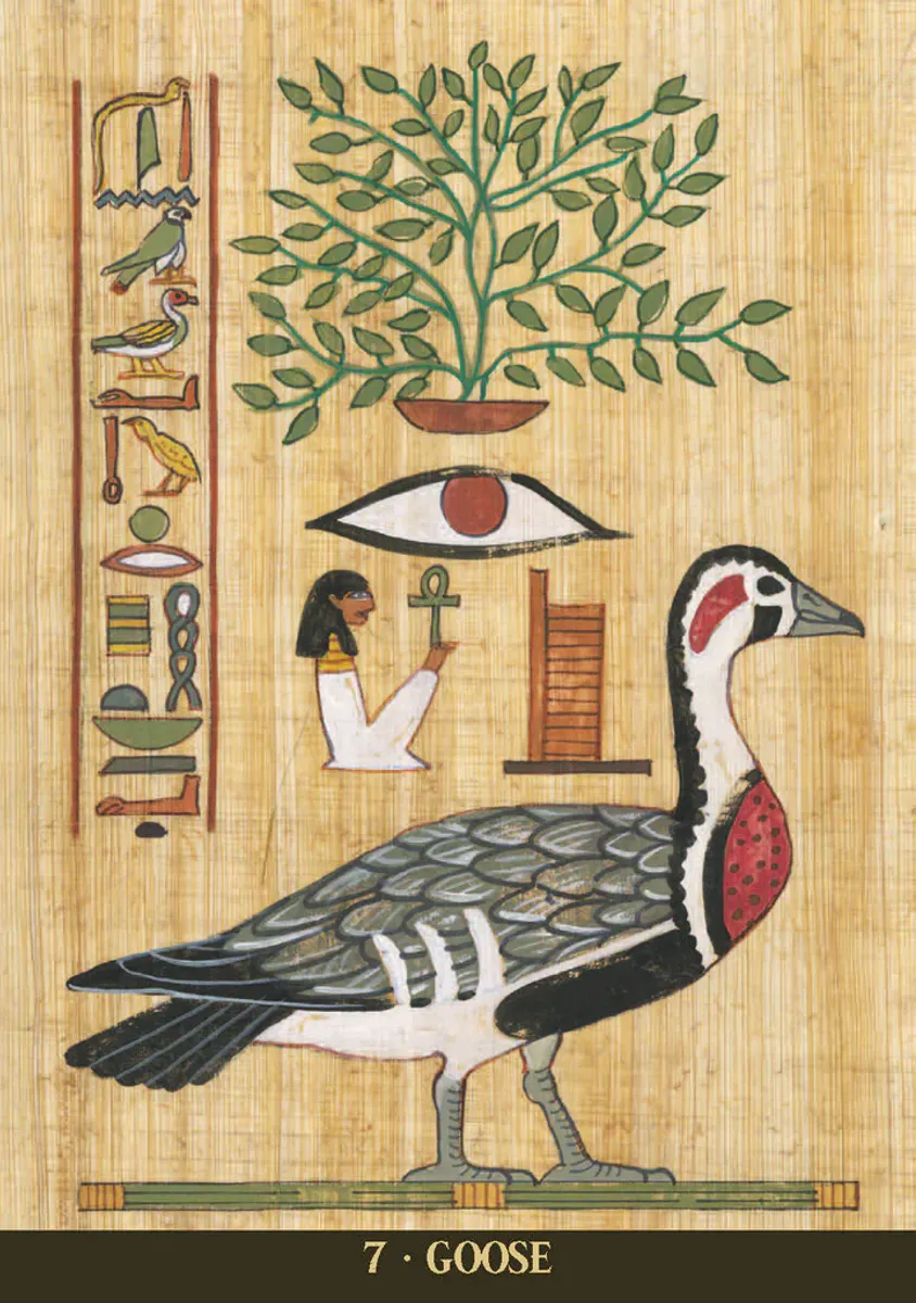 Egyptian Sacred Animals Oracle | Silvana Alasia - Mystica